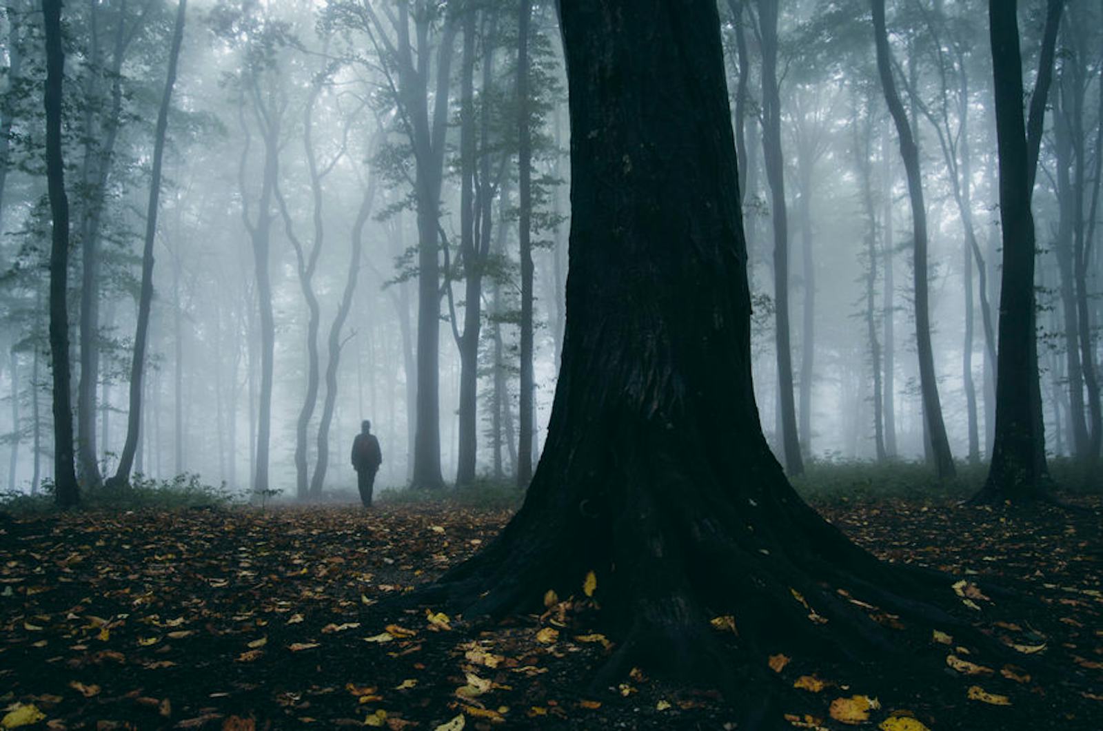 Why Do People Believe In Ghosts? If You Have This Kind Of Personality ...