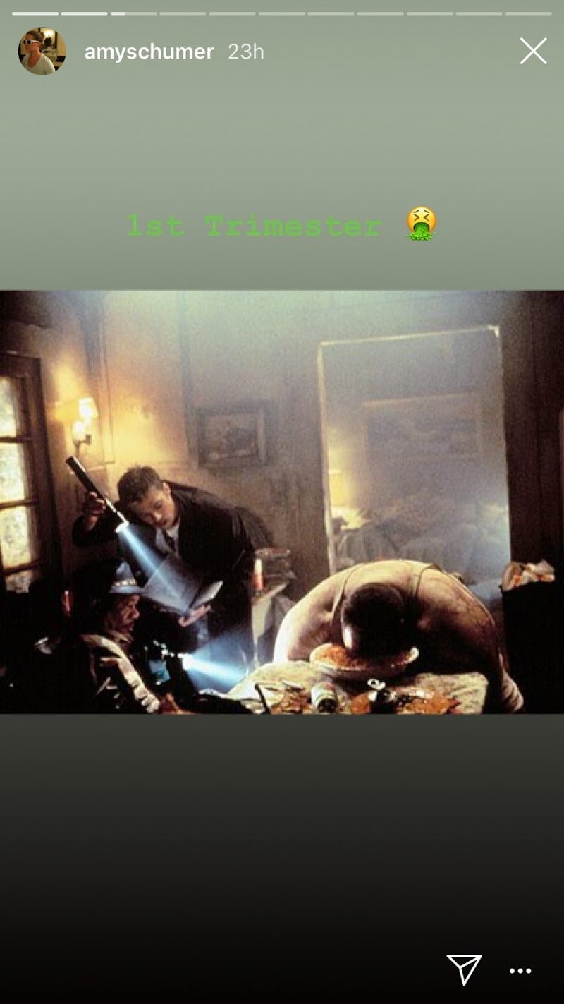 Amy Schumer's New Pregnancy Update Revealing Her First Trimester Is ...