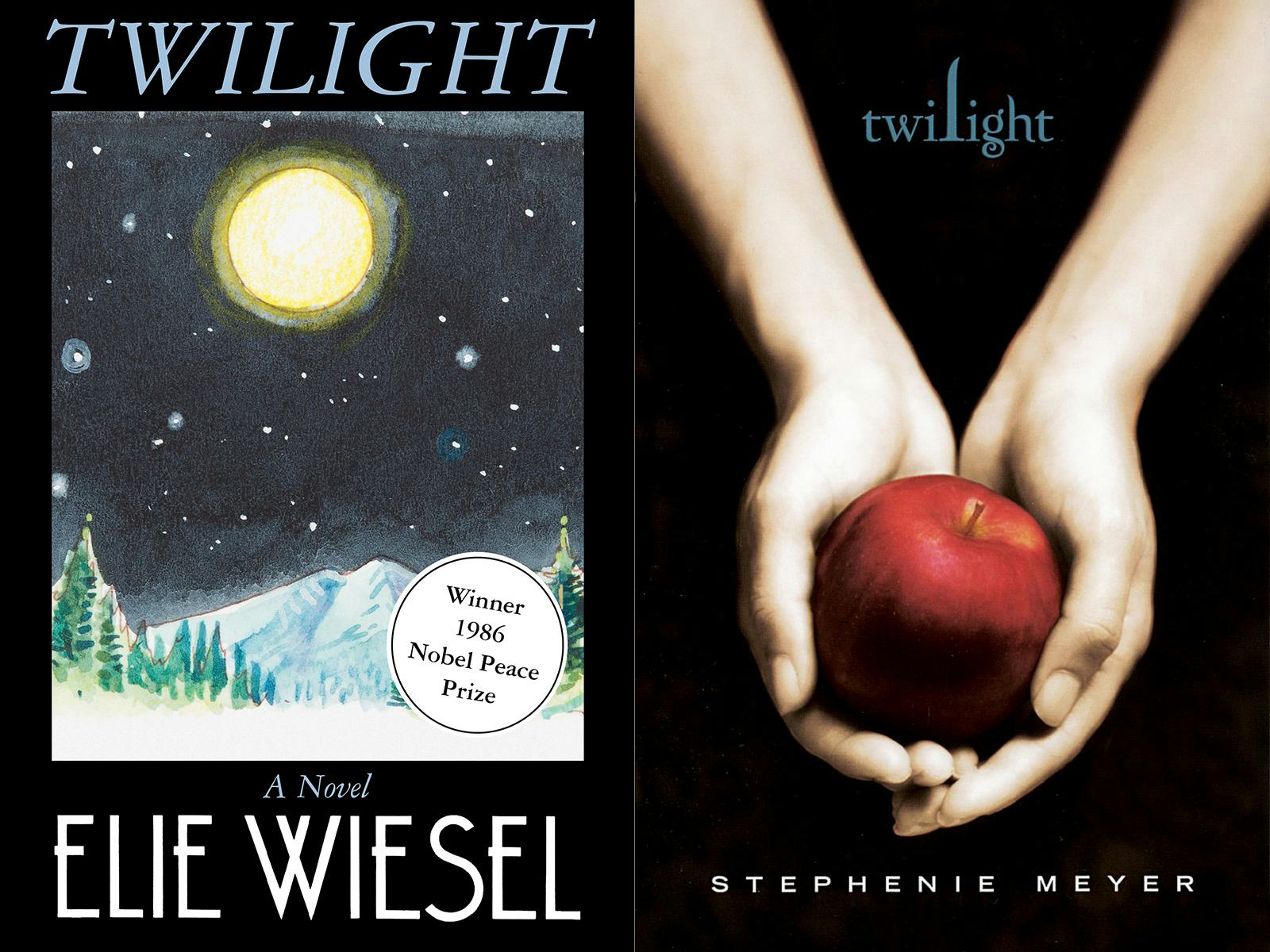 'Life After Life' & 9 Pairs Of Wildly Different Books With The Same Title