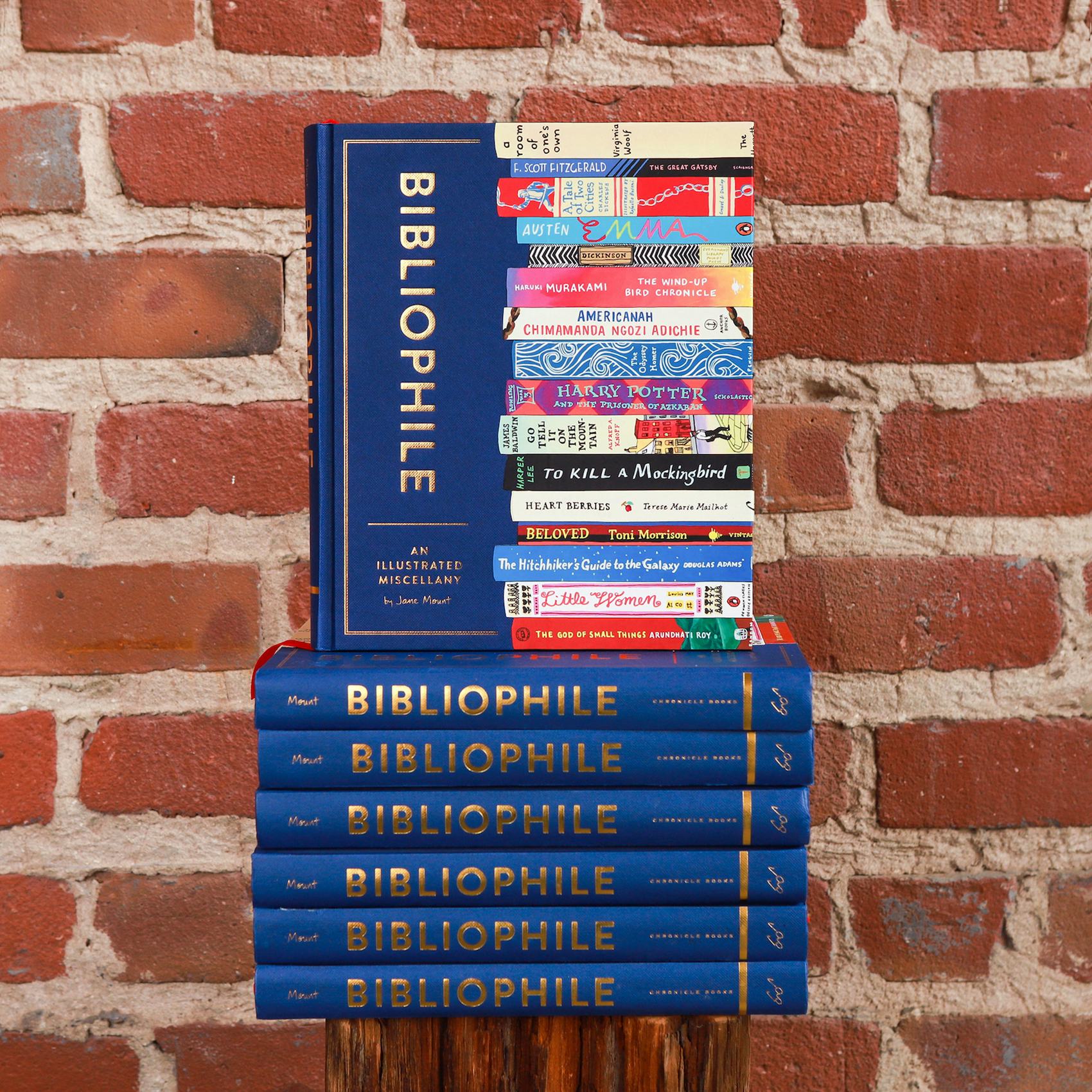 'Bibliophile' Is An Illustrated Celebration Of All Things Books — And ...