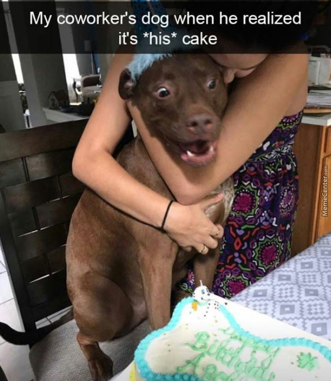 11 National Cake Day 2018 Memes That Will Make You Super Hungry