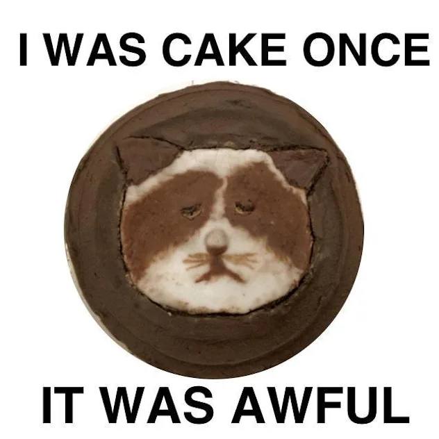 11 National Cake Day 2018 Memes That Will Make You Super Hungry