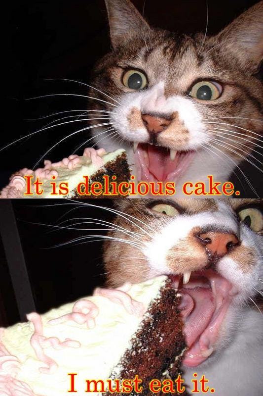 11 National Cake Day 2018 Memes That Will Make You Super Hungry