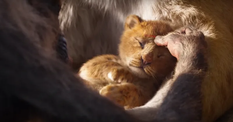 The Live-Action 'Lion King' Trailer Recreates A Iconic Moment From The ...