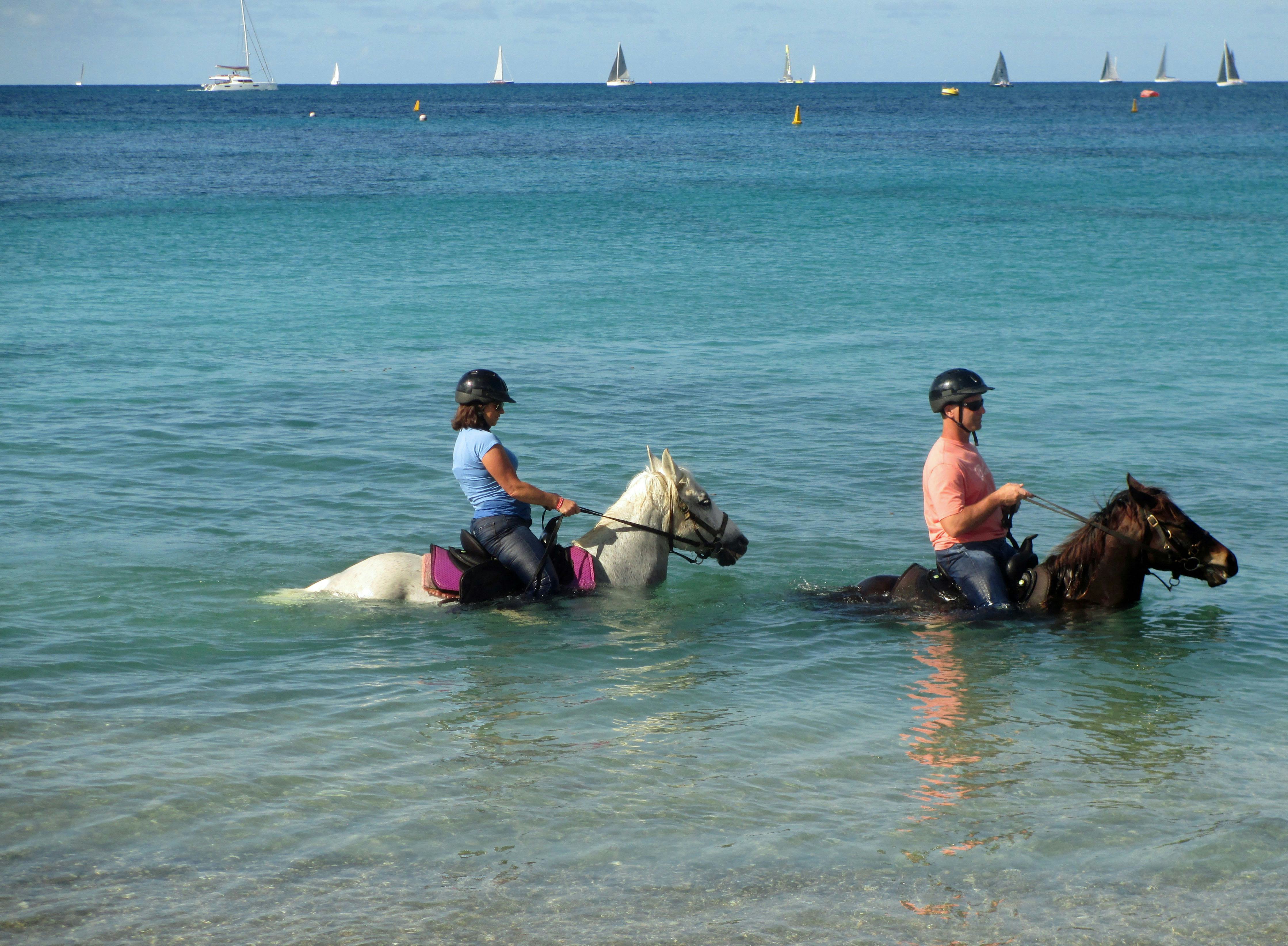 Here's The Full HGTV 2019 Lineup So You Can Plan Your Next Dream House