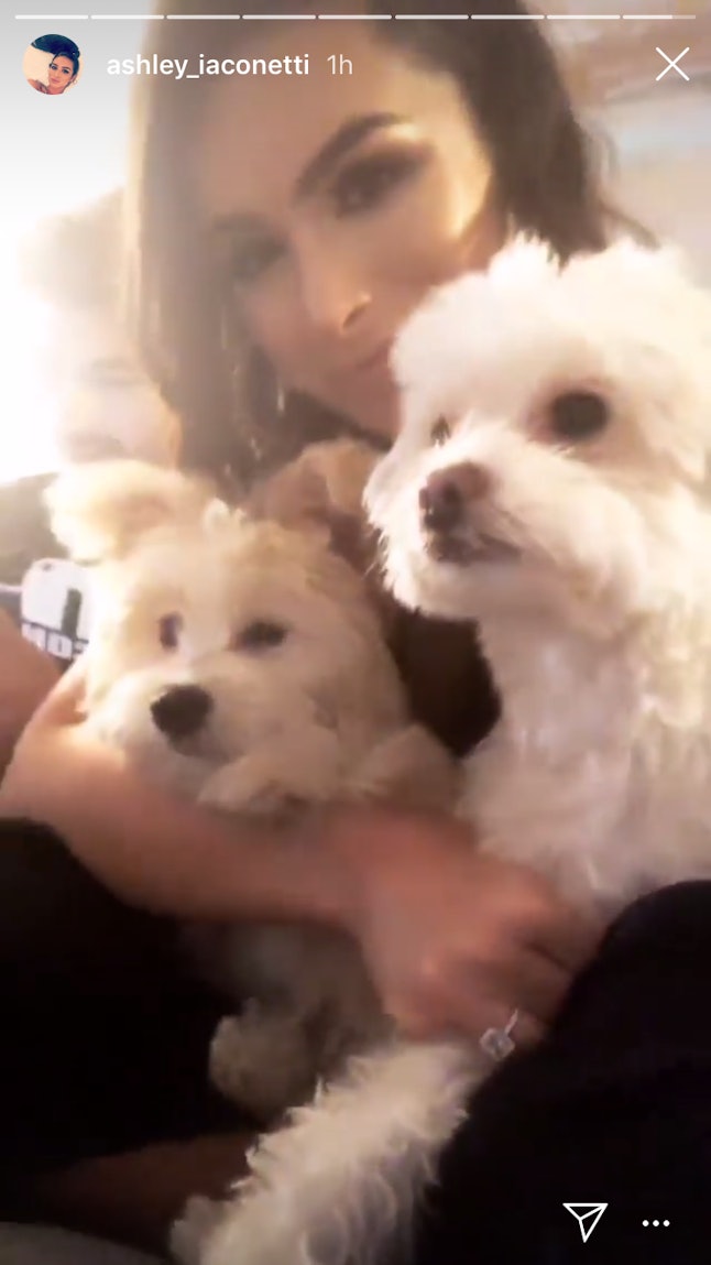 Ashley I. & Jared’s New Dog Is The Most Adorable Addition To The ...