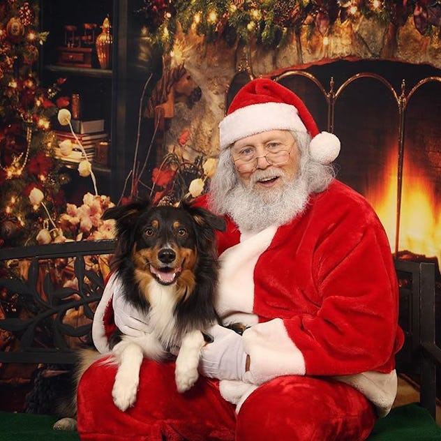 These 38 Santa Photos With Dogs Are The Greatest Gift You Can Get This ...