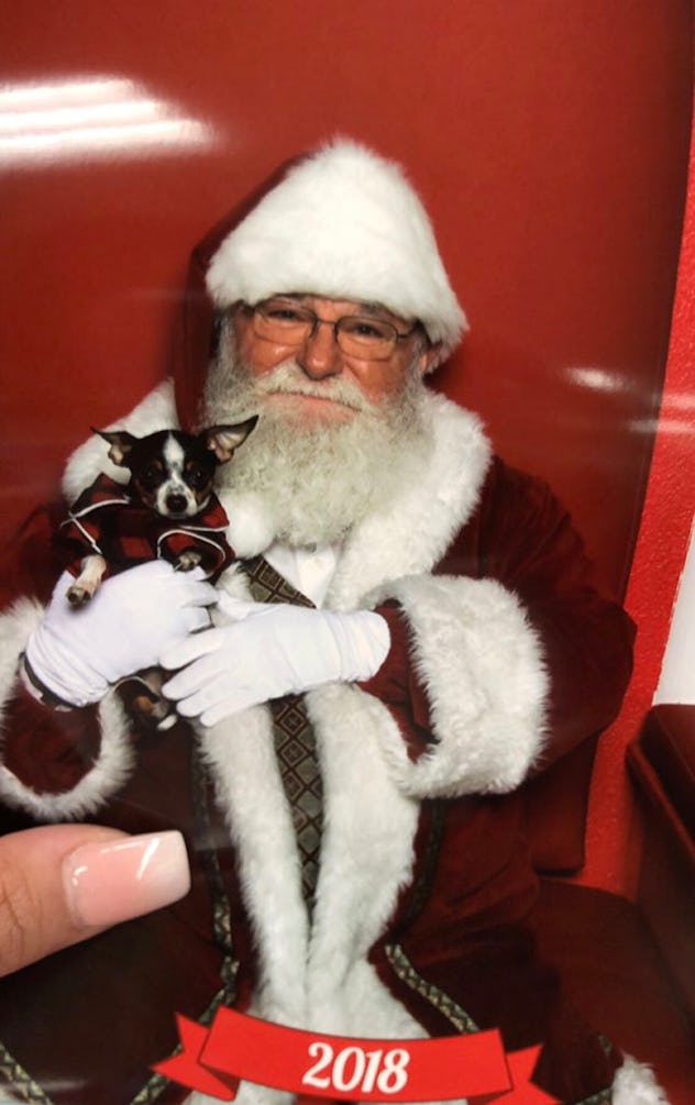 These 38 Santa Photos With Dogs Are The Greatest Gift You Can Get This ...