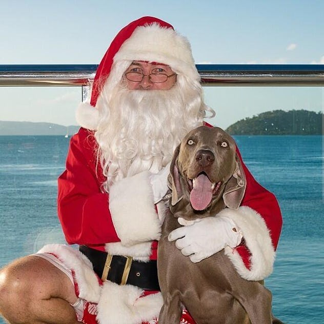 These 38 Santa Photos With Dogs Are The Greatest Gift You Can Get This ...