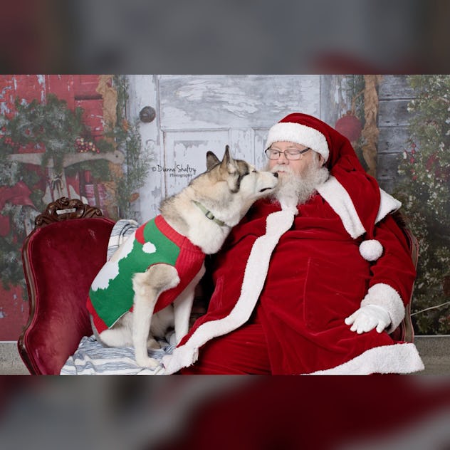 These 38 Santa Photos With Dogs Are The Greatest Gift You Can Get This ...