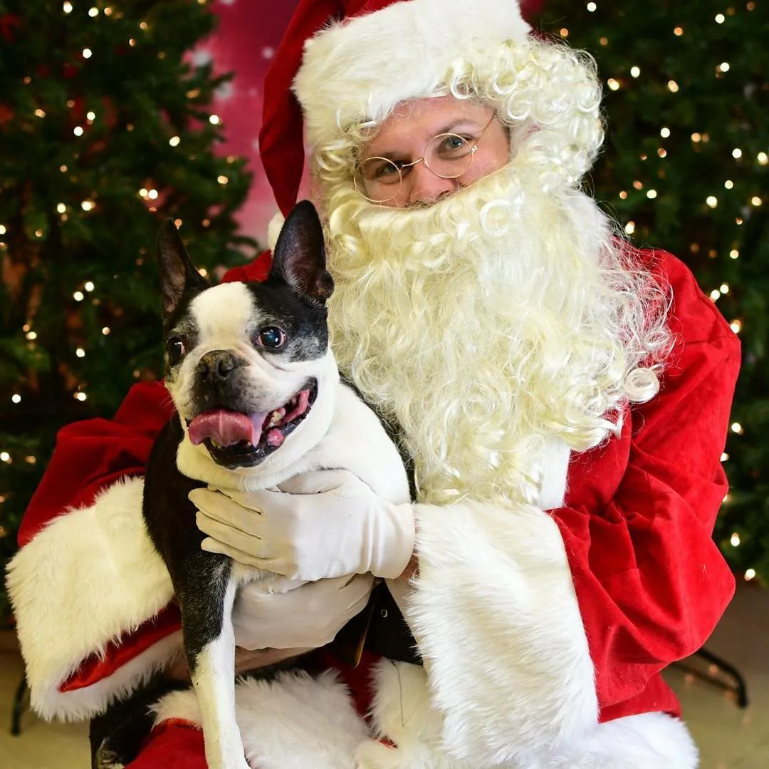 These 38 Santa Photos With Dogs Are The Greatest Gift You Can Get This ...