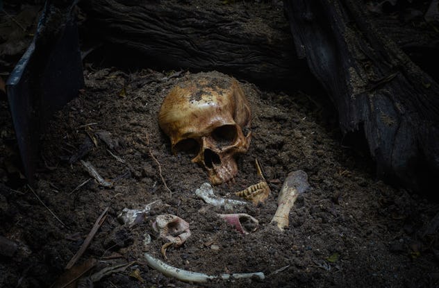 7 Creepy Things A Dead Body Can Do, According To Science