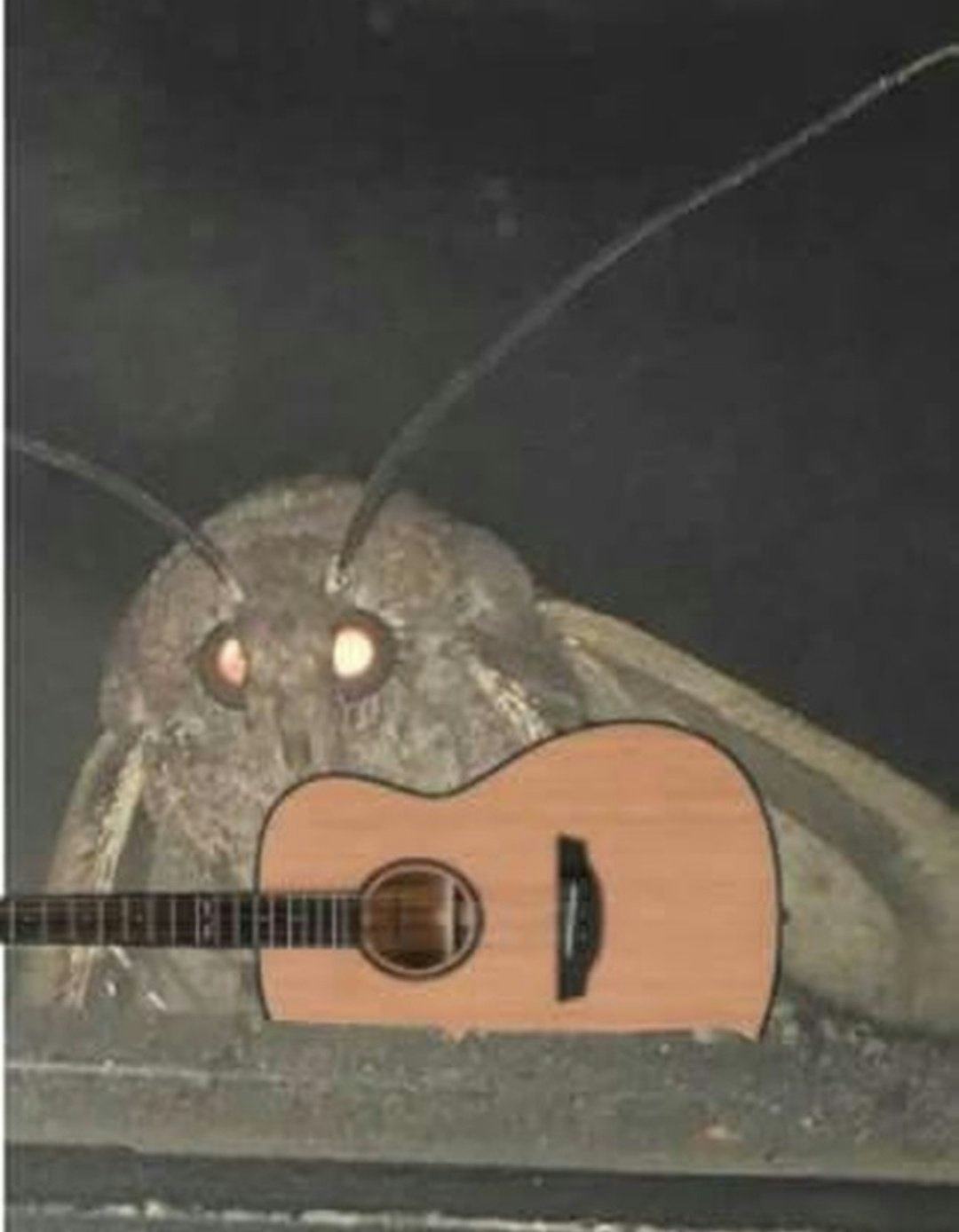 The Best Memes From 2018 Will Make You Remember How Funny The Internet ...