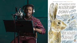 What Is The Real Meaning Of 'Watership Down'? There Are A Lot Of ...