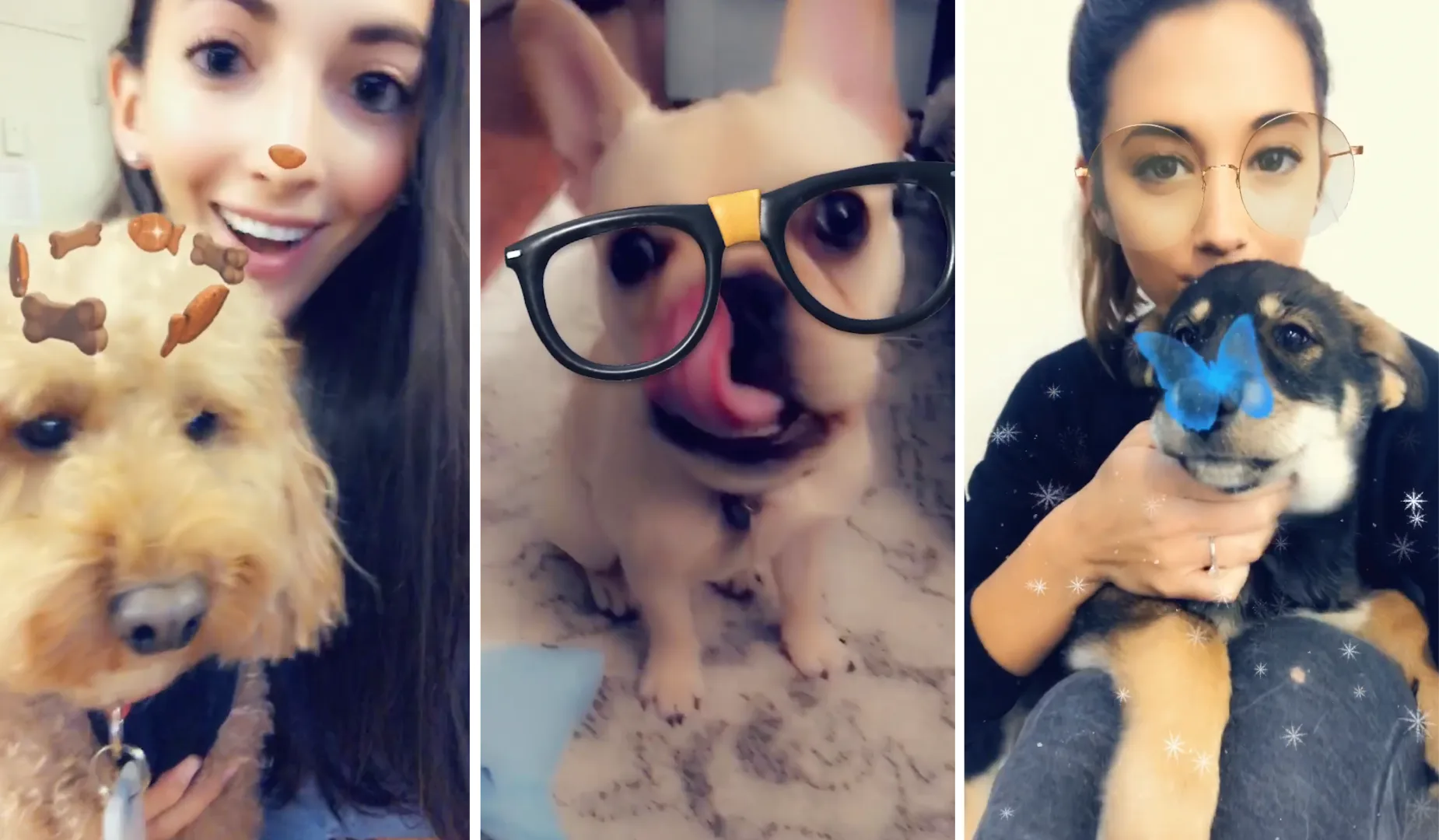 Snapchat's New Dog Lenses For Your Pup Let You Pose Alongside Your ...