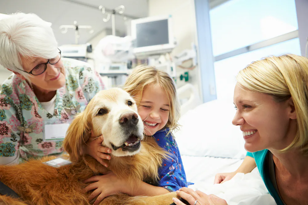 Therapy Dogs Are Being Used To Help Kids With Medical Scans & It's ...