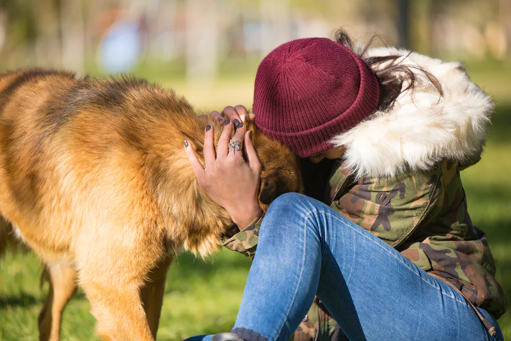 8 Ways To Soothe A Grieving Pet & Help Them Feel Better