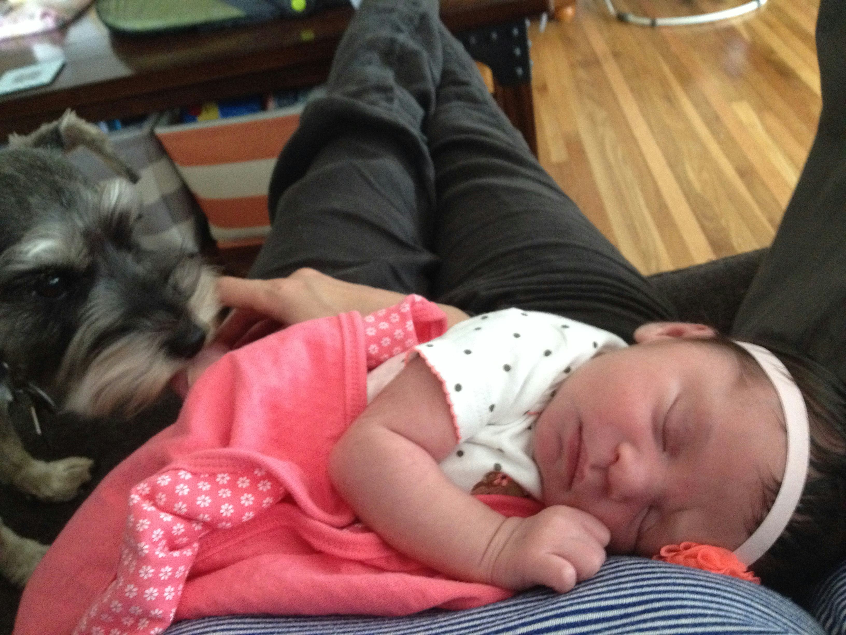 Be Honest: Newborns Are So Boring It Hurts