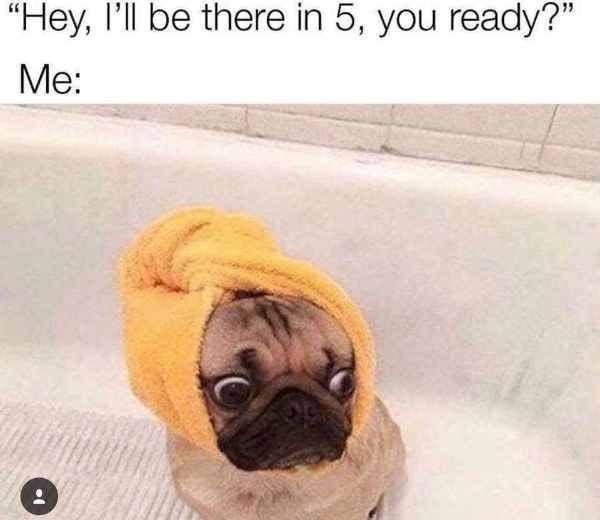 9 Small Dog Memes That Are So Cute, They'll Make You Drop Everything ...