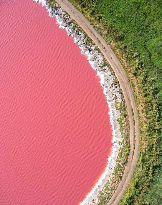 7 Pink Lakes In The World That Look Like They're From Another Planet