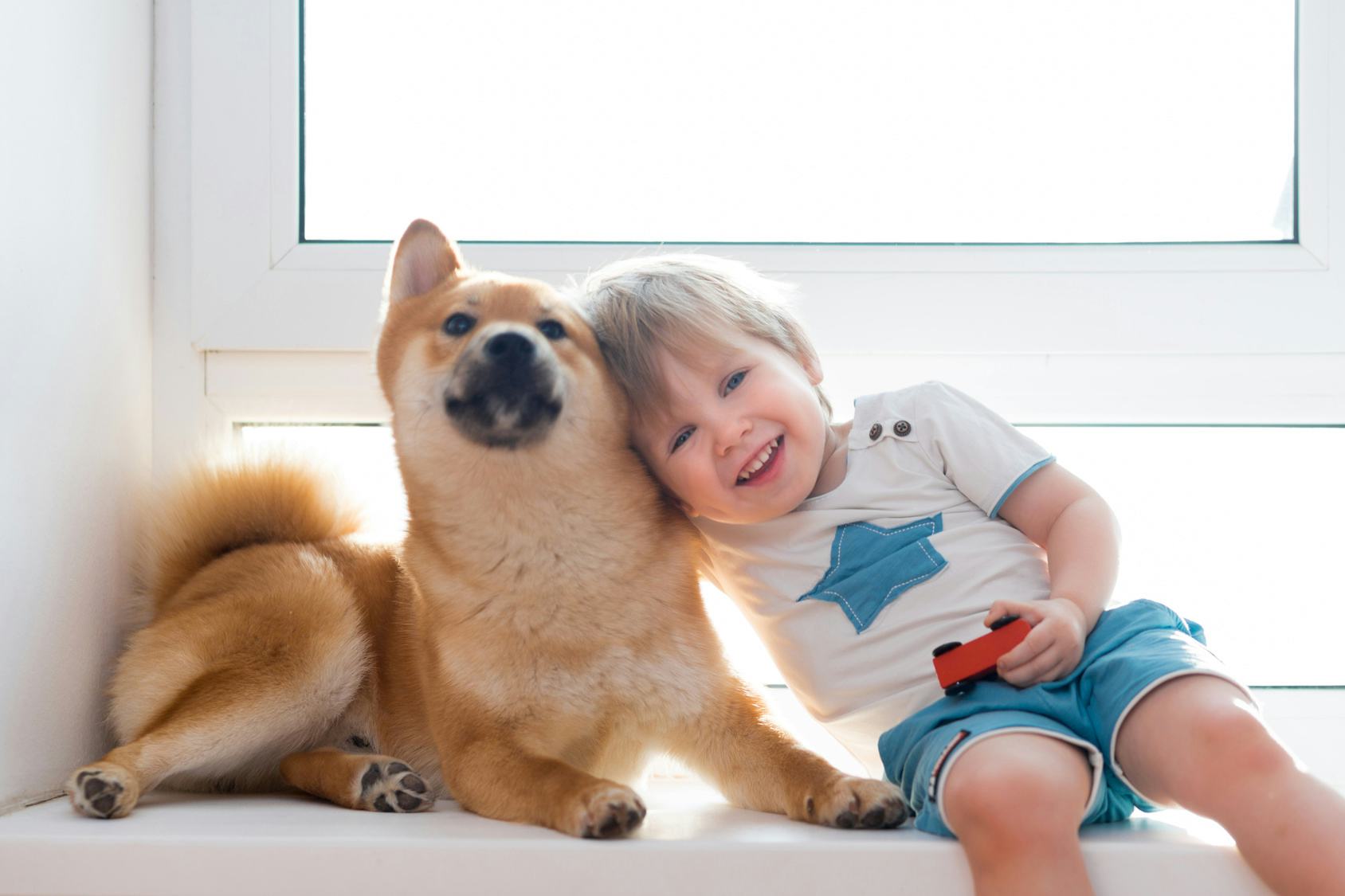 6 Pets That Are Kid-Friendly, According To Experts, & Super Cute, Too