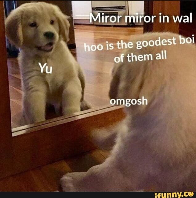 14 Puppy Memes To Share On National Puppy Day 2018 That Are Just ...