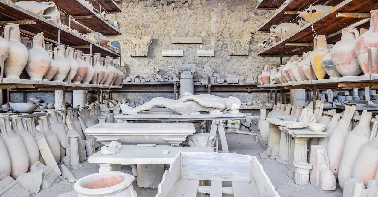 11 Weird Parts Of Your Body That Survive After You Die