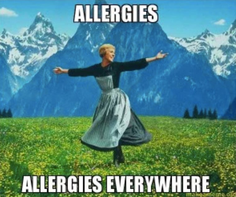 11 First Day Of Spring 2018 Memes That Capture Just How Desperate ...