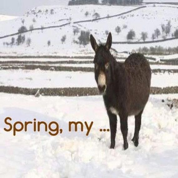 11 First Day Of Spring 2018 Memes That Capture Just How Desperate ...
