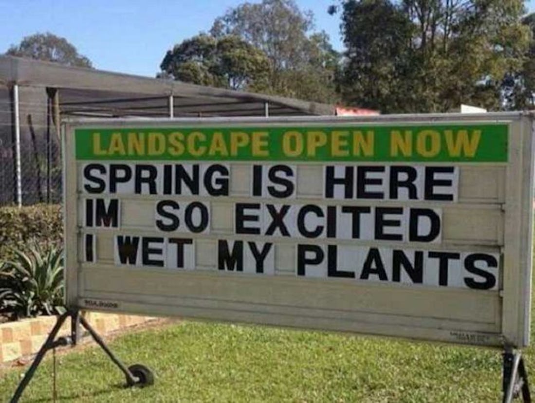 11 First Day Of Spring 2018 Memes That Capture Just How Desperate ...