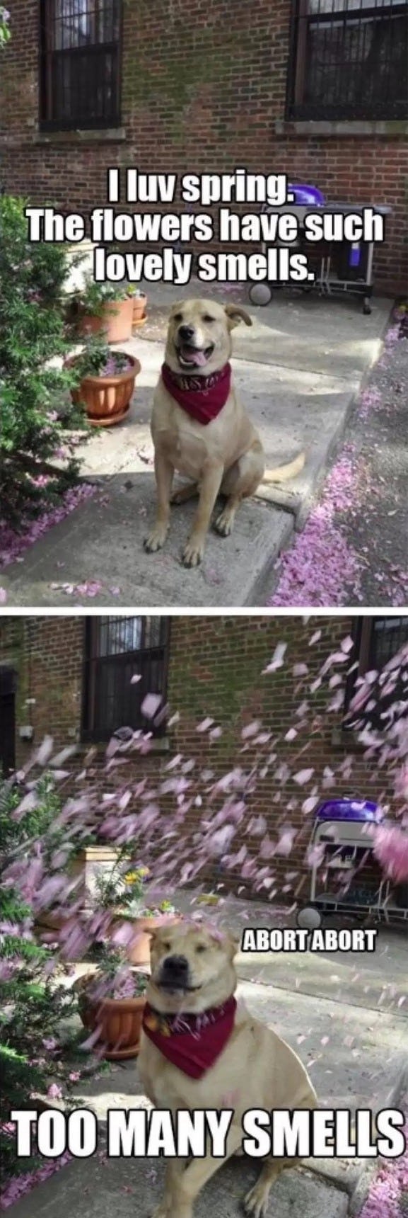 11 First Day Of Spring 2018 Memes That Capture Just How Desperate ...