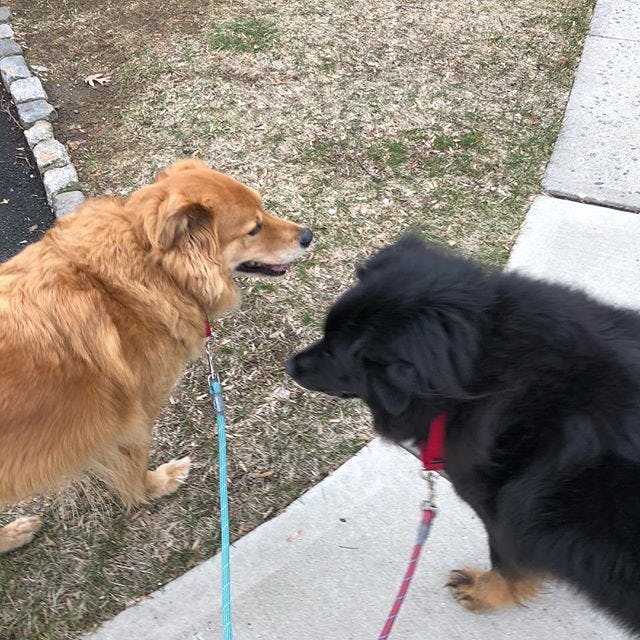 12 Hilarious Sibling Rivalry Memes For National Siblings Day: It's ...