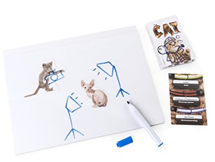 Cat-Opoly, A Cat-Themed Monopoly Game, Is So Adorable That You Might ...