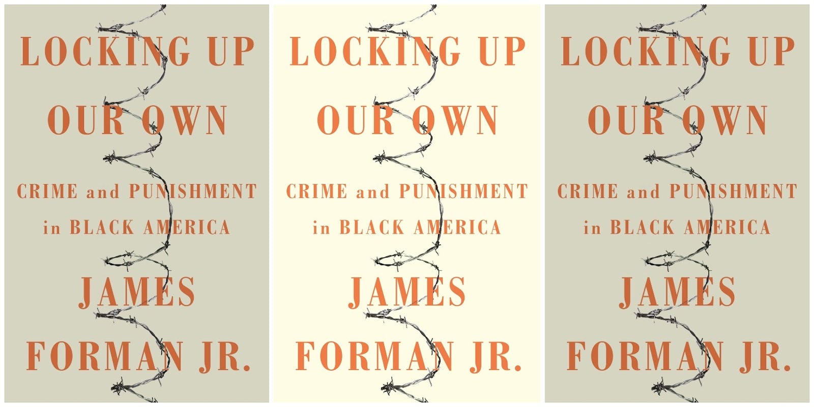 'Locking Up Our Own' By James Forman Jr. Just Won The Pulitzer Prize ...