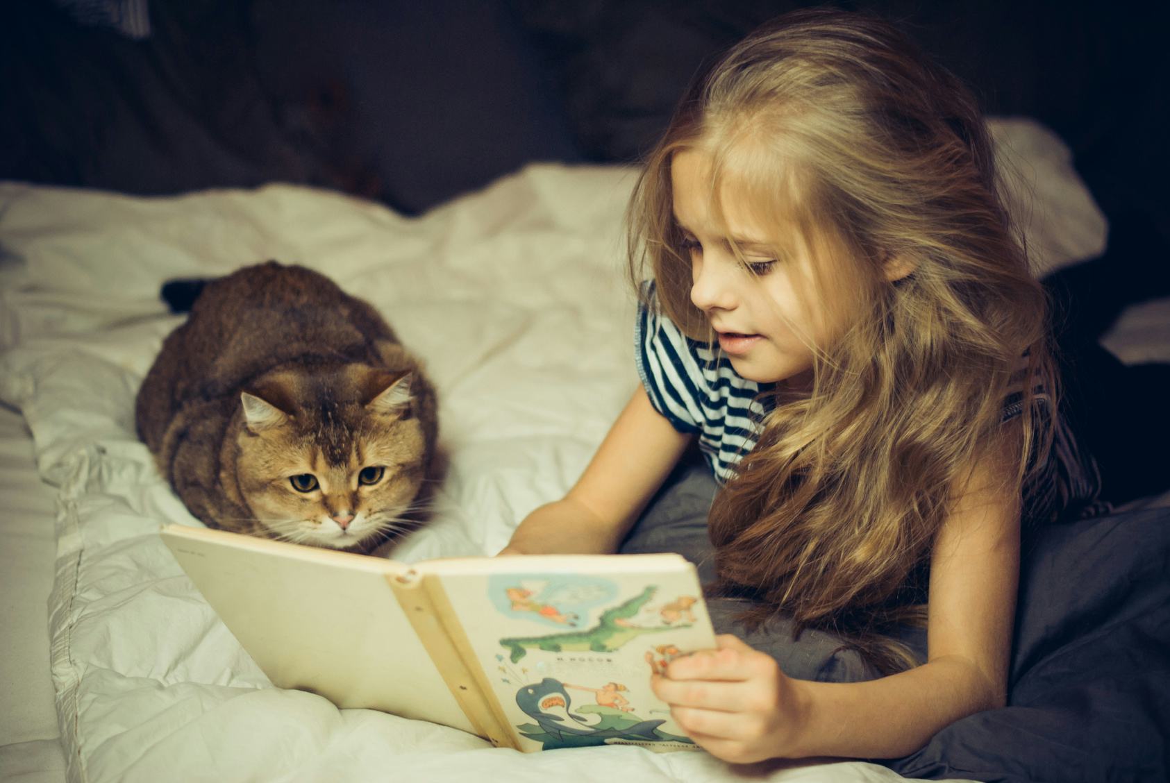 7 Kid-Friendly Cat Breeds: These Charming Felines Make Purrfect Companions