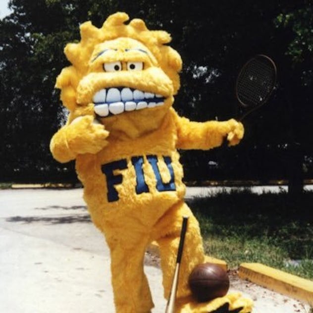 A New Pizza Rat Video Is Going Viral & Twitter Is Loving His Determination