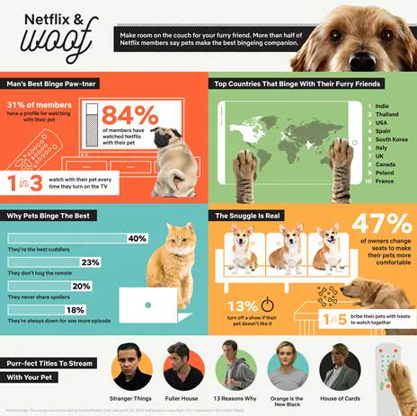 Watching Netflix With Your Pet Is More Common Than Ever, According To A ...