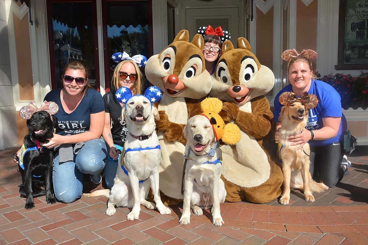 These Photos Of Service Dogs Visiting Disneyland Will Make Your Dreams ...
