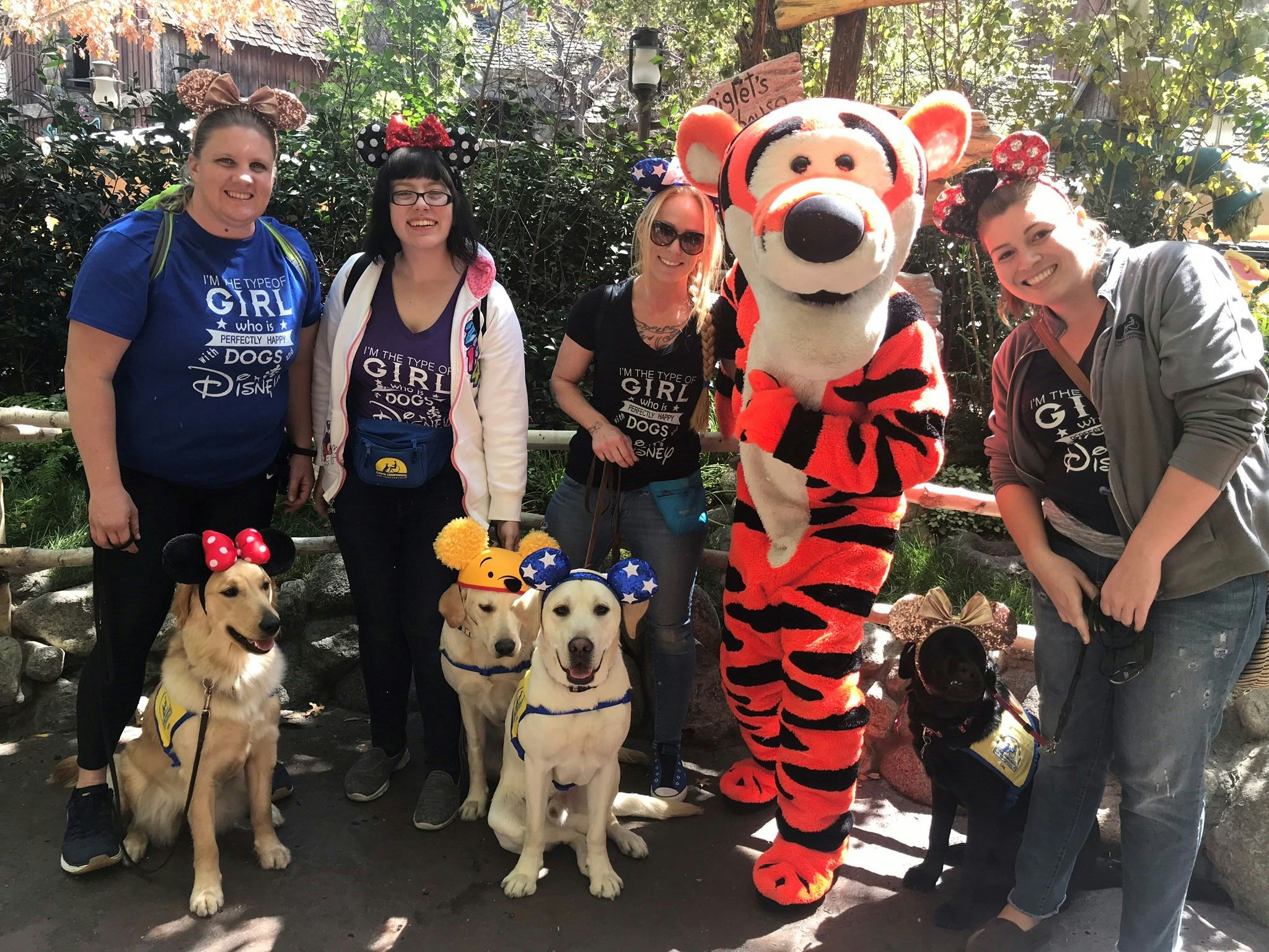 These Photos Of Service Dogs Visiting Disneyland Will Make Your Dreams ...