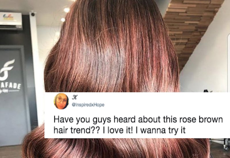 Rose Brown Hair Is Now A Thing & Here's How To Get It