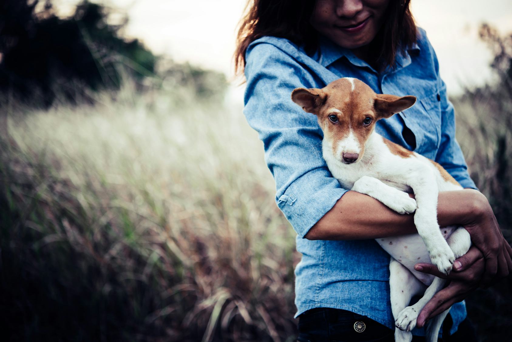 11 Easy Ways To Bond With Your New Dog