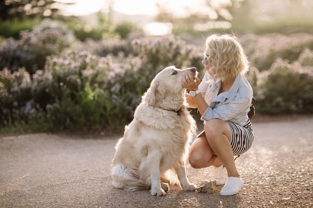 11 Easy Ways To Bond With Your New Dog