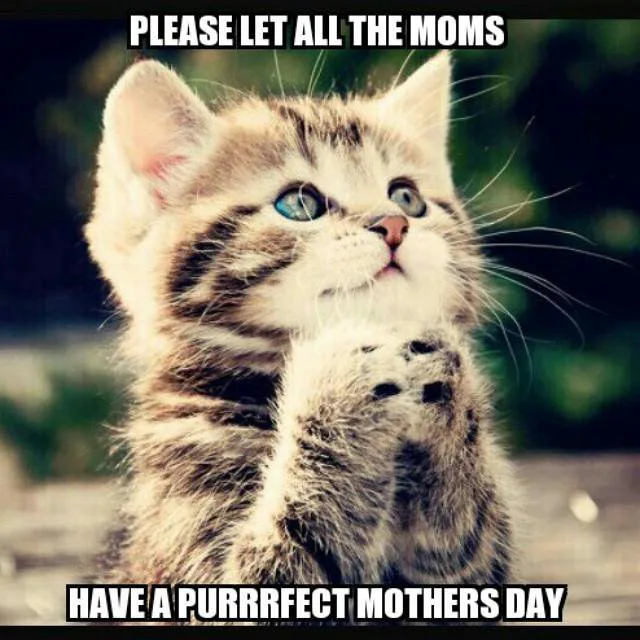 11 Happy Mother's Day 2018 Memes That Will Make Mom Laugh & Say "True"