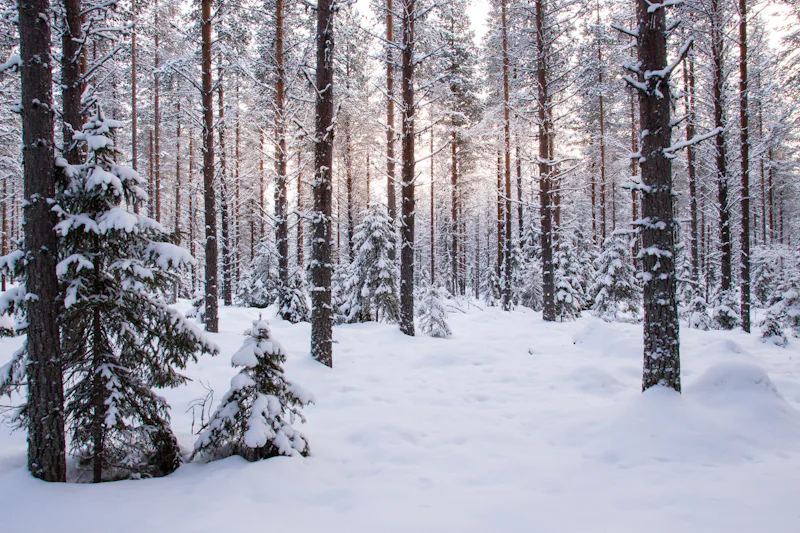 How To Prepare For Snow In 8 Steps, Because Winter Has Only Just Begun