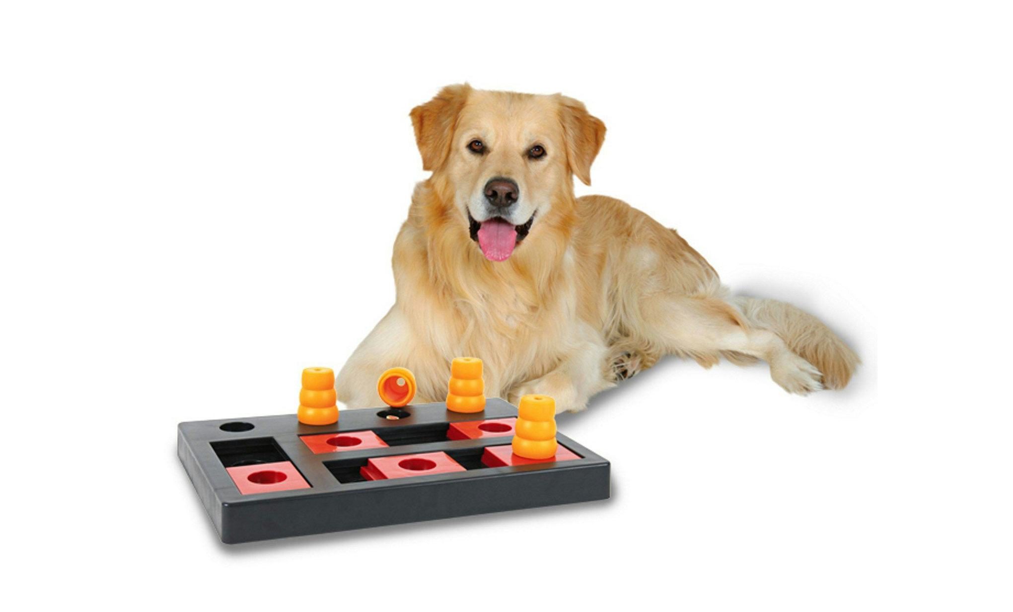 6 Challenging Toys For Dogs