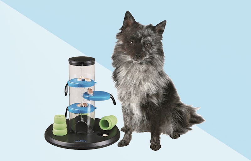 6 Challenging Toys For Dogs