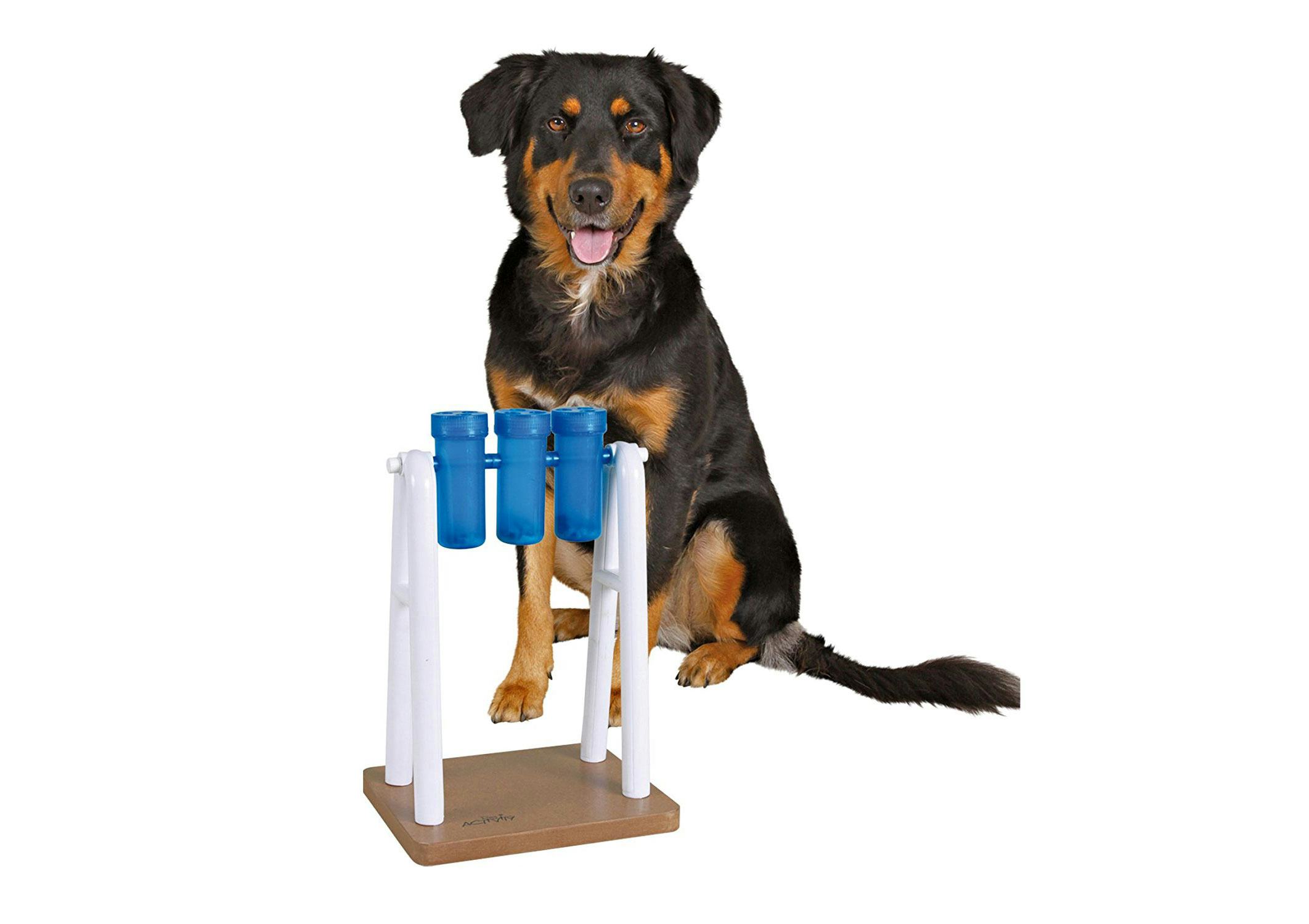 6 Challenging Toys For Dogs