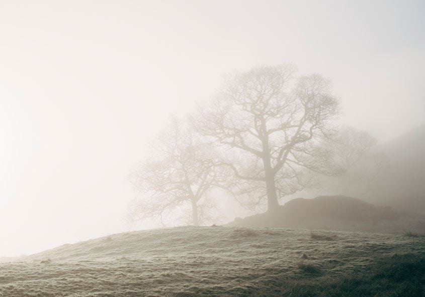 7 Creepy Books Set In The British Countryside To Stop You Ever Leaving ...