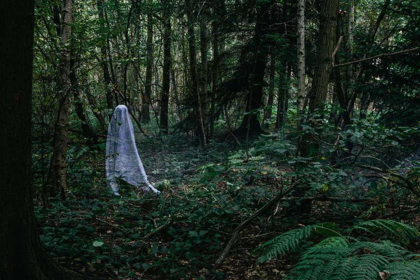 7 Creepy Books Set In The British Countryside To Stop You Ever Leaving ...