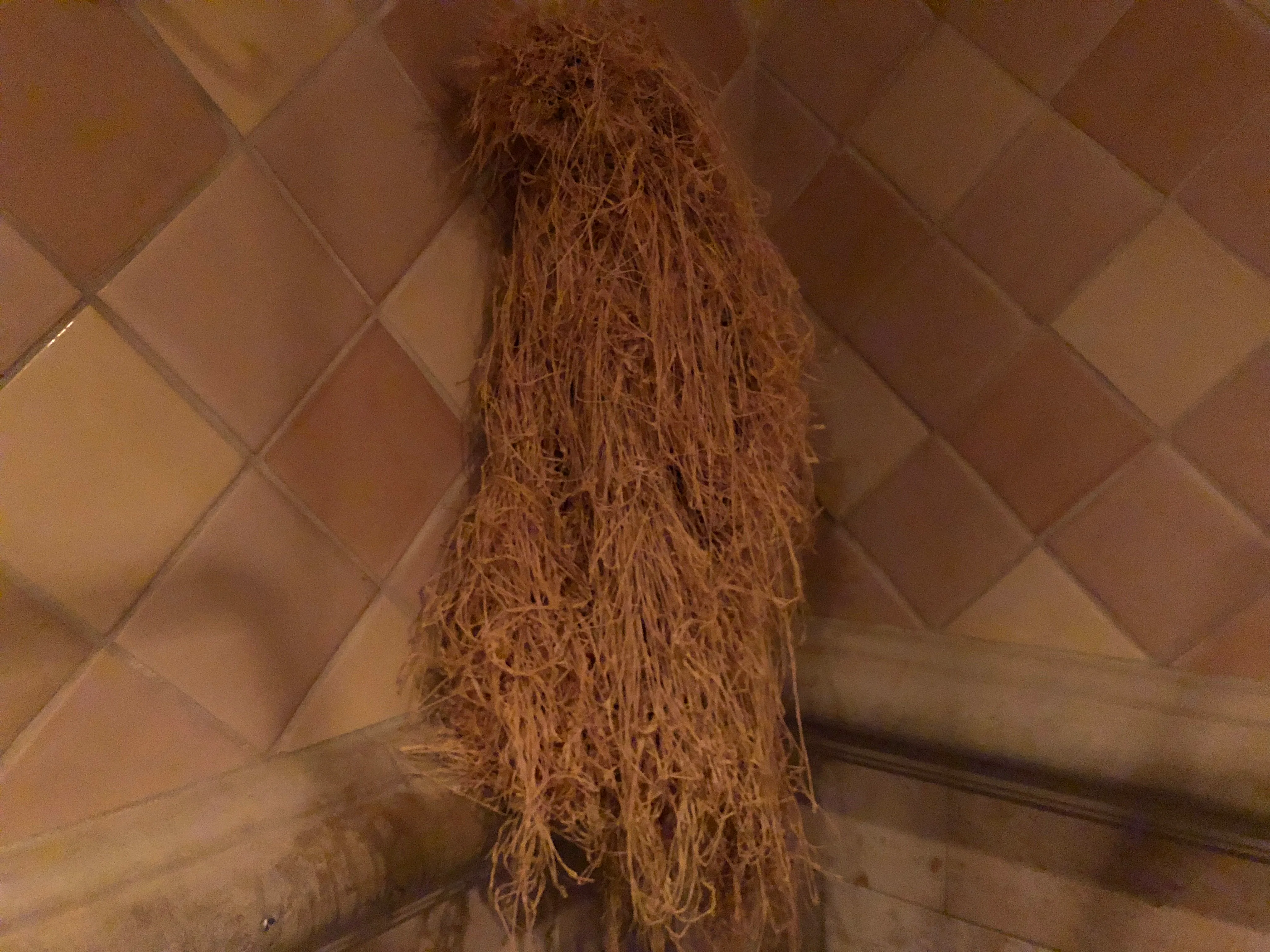 I Got Burke Williams' Giant Loofah Scrub & It Was Not What I Expected